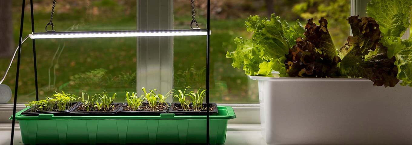 Odla Inomhus – Bäst Inomhusodling Året runt!
