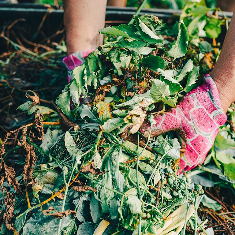 Börja kompostera – så får du den bästa jorden
