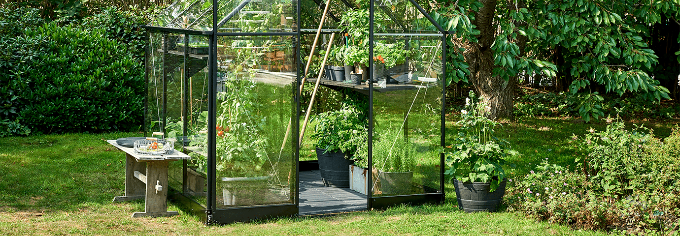 Odla Gurka – Tips för Odling av Gurka 勒