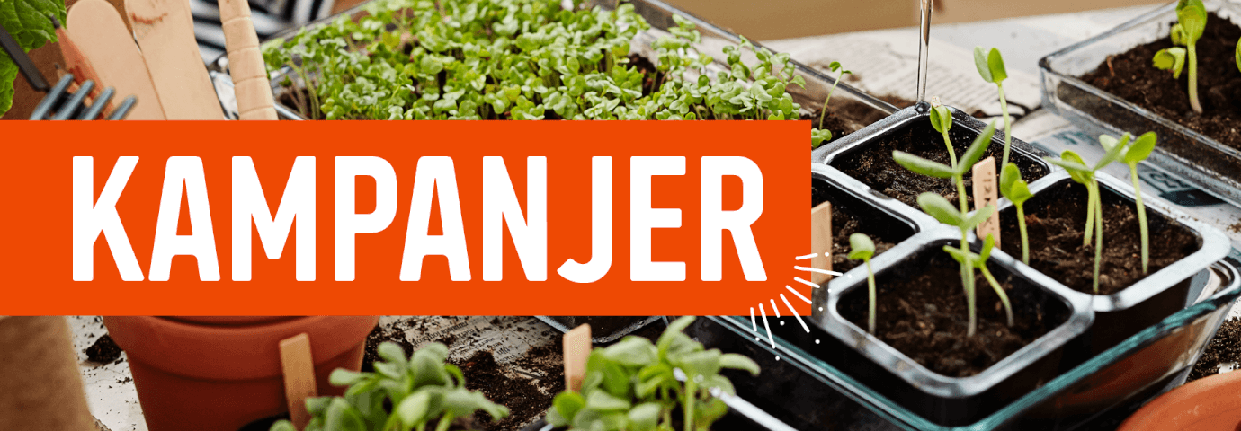 Kampanjer & Erbjudanden