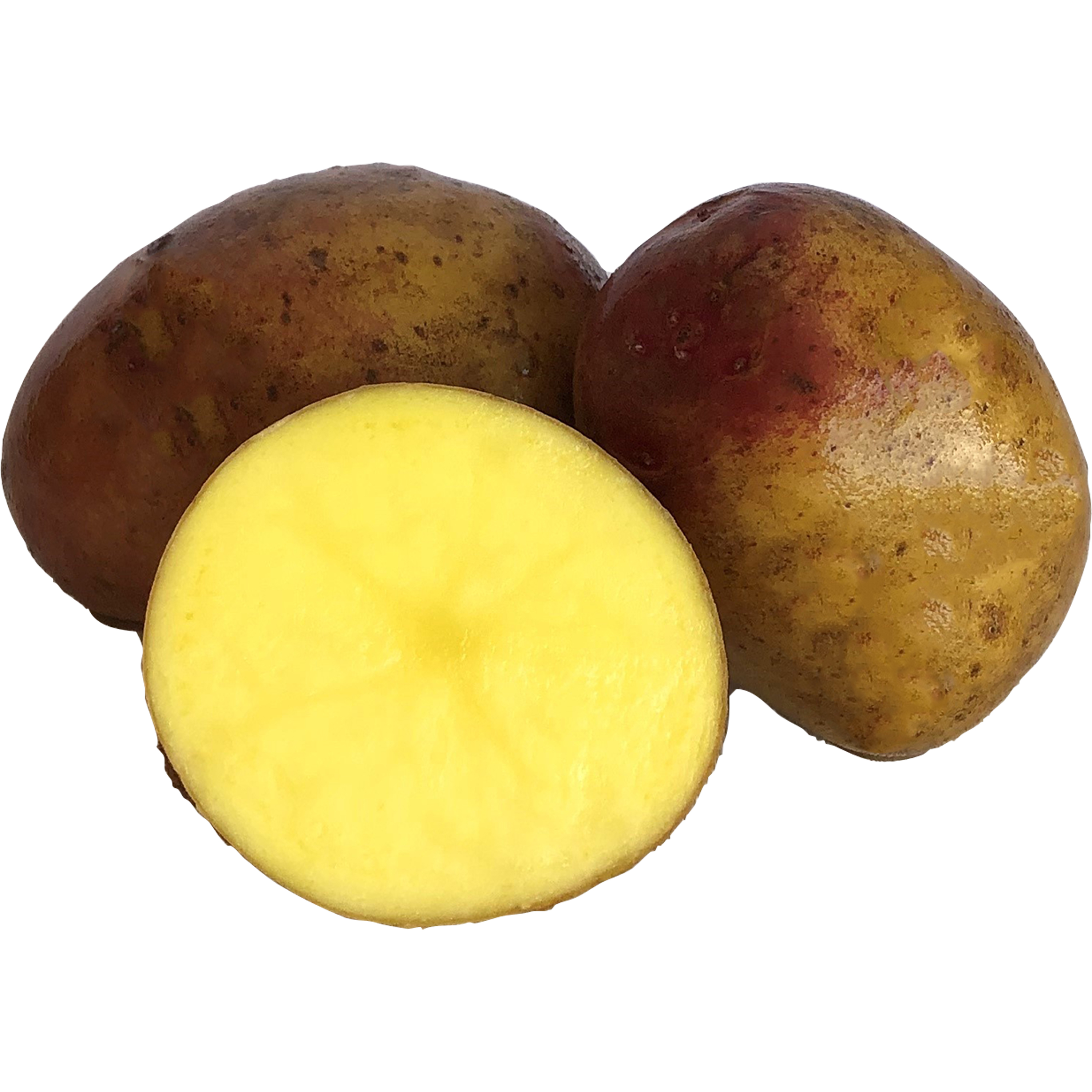 Sättpotatis Carolus Eko - present/presenttips