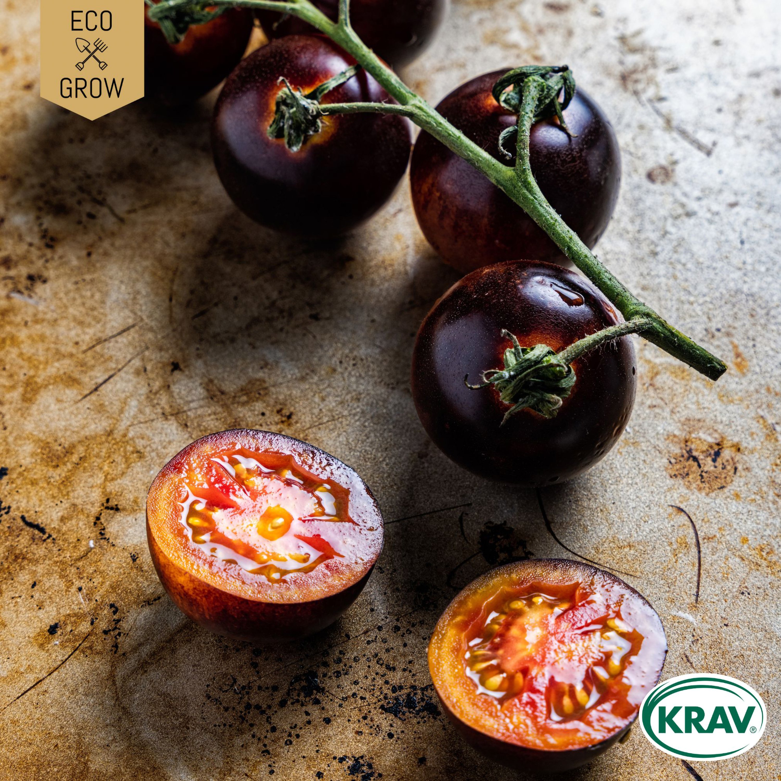 Fröer Eco Grow Salladstomat Indigo Rose