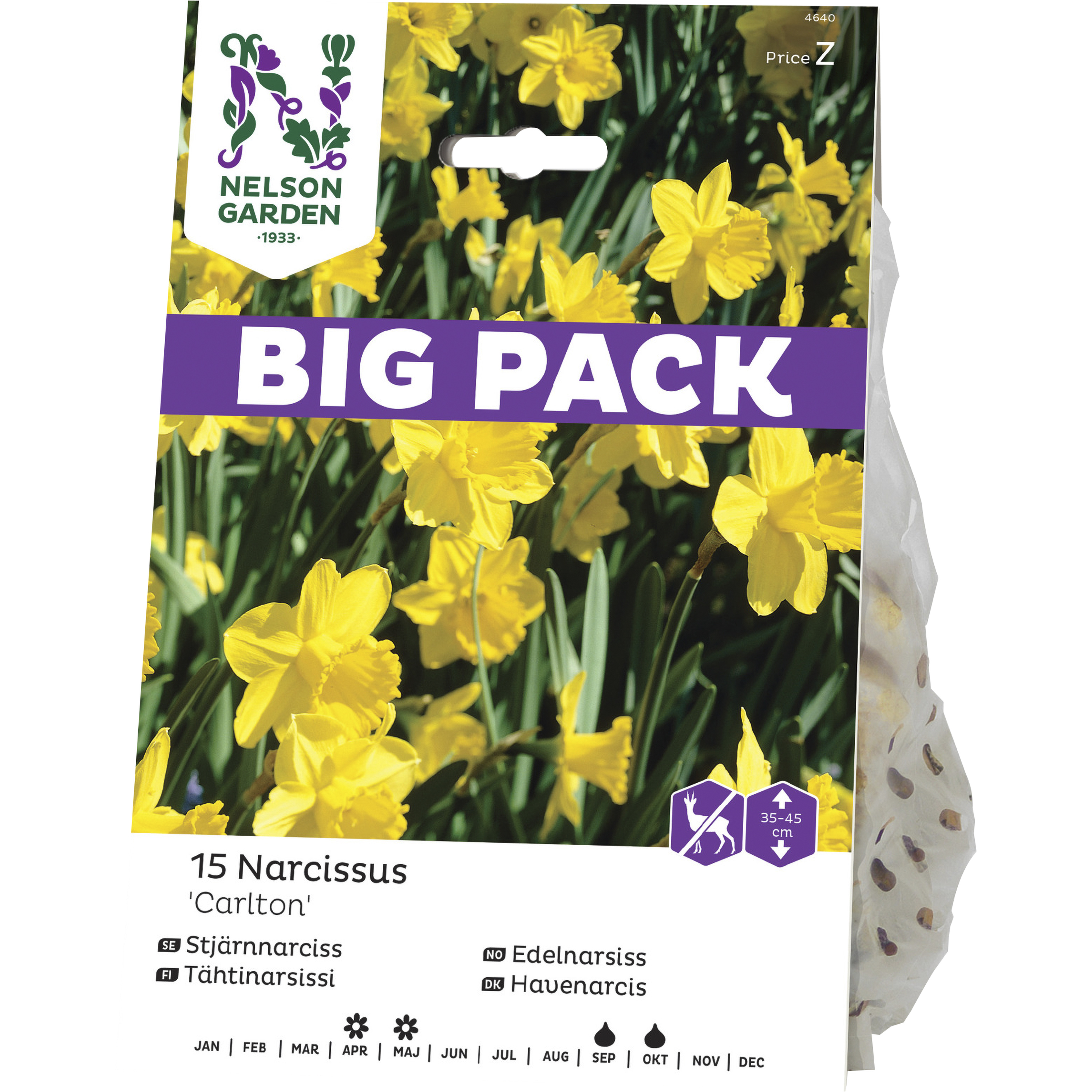 Höstlök Nelson Garden Stjärnnarciss Storkrona Carlton XLPack