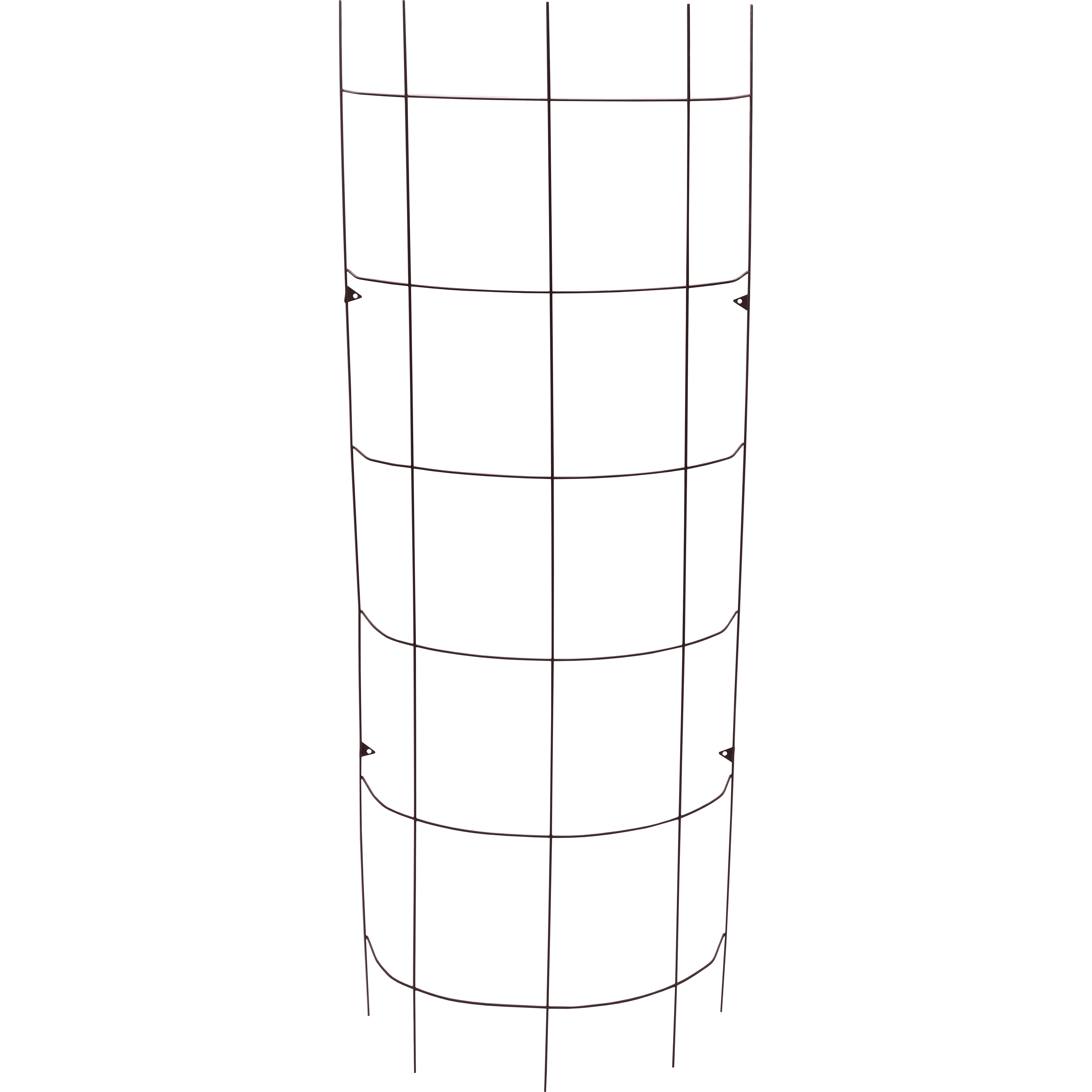 Spaljé | granngarden.se