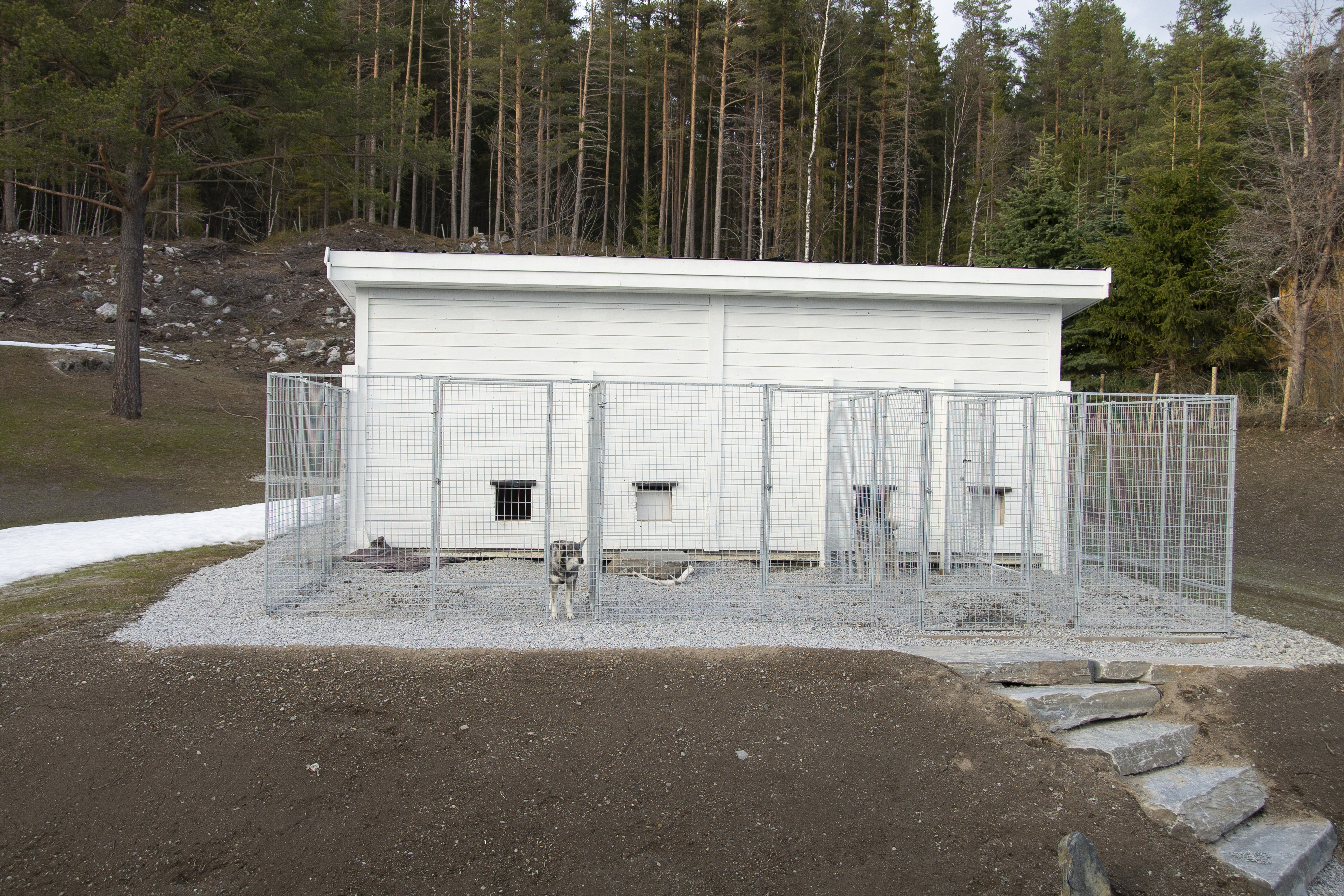 Hundgårdar - Sektioner att bygga rastgård med | PetVillage.se