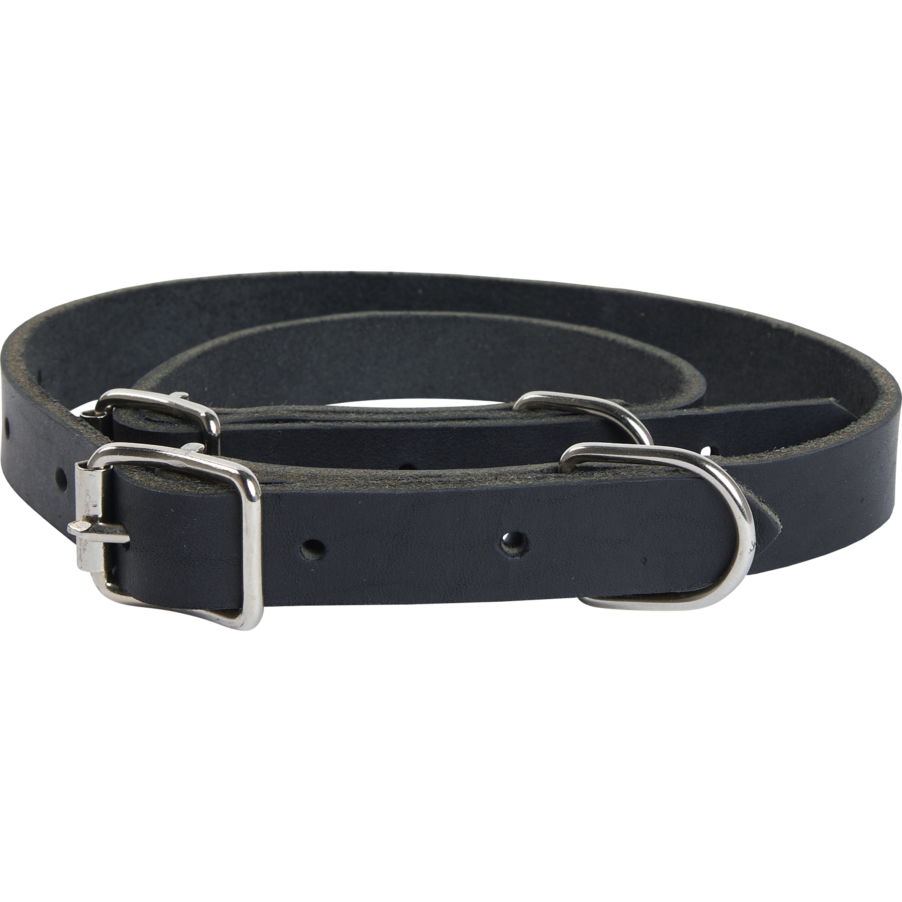 Hundhalsband Pritax Läder Svart