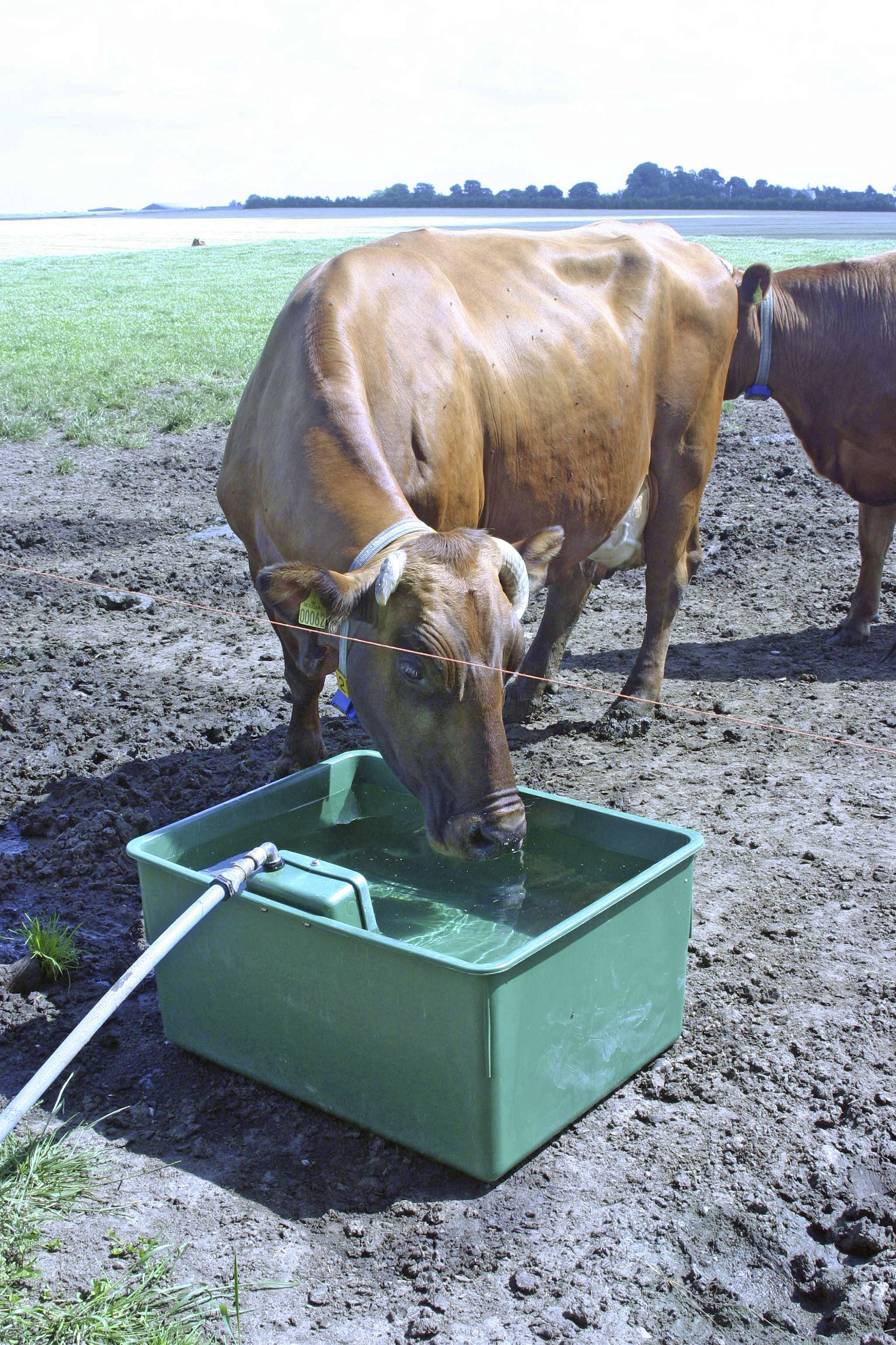 Vattenkar Young Line modell 860 Grön 200L