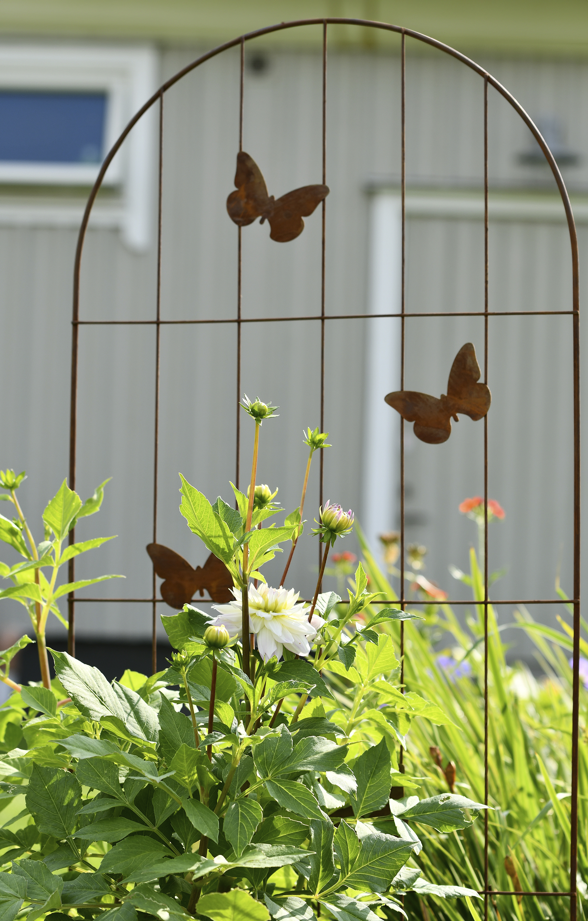 Spaljé Nyby Bruk Bågformad med fjärilar 50x136cm Rostig